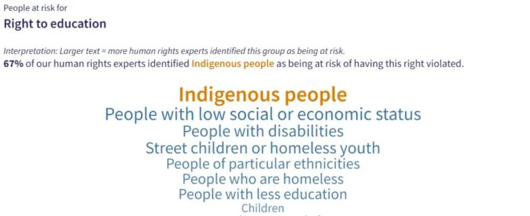 Impact Story Aotearoa New Zealand Human Rights Measurement Initiative